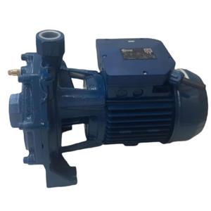 قیمت و خرید پمپ آب دو پروانه 2 اسب پنتاکس مدل CB210/00