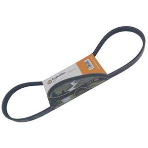 قیمت و خرید تسمه هیدرولیک پراید تیبا رایکا آلتون (4PK 930)