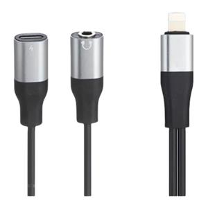 قیمت و خرید کابل تبدیل لایتنینگ به AUX / USB-C پرووان مدل PCA46 طول 0. ...