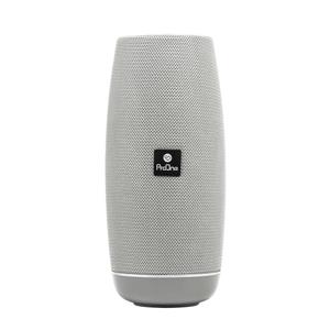 قیمت و خرید اسپیکر همراه بلوتوثی PROONE PSB4108
