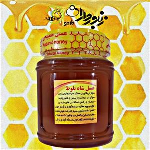 قیمت و خرید عسل شاه بلوط (یک کیلوگرم)
