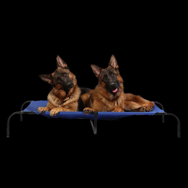 قیمت و خرید جایگاه استراحت سگ فیدل ‌پلیس Fidel Place