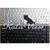 قیمت و خرید کیبورد لپ تاپ ایسر KEYBOARD ACER Aspire 4736