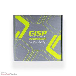 قیمت و خرید دیسک و صفحه کلاچ پژو 405 GISP