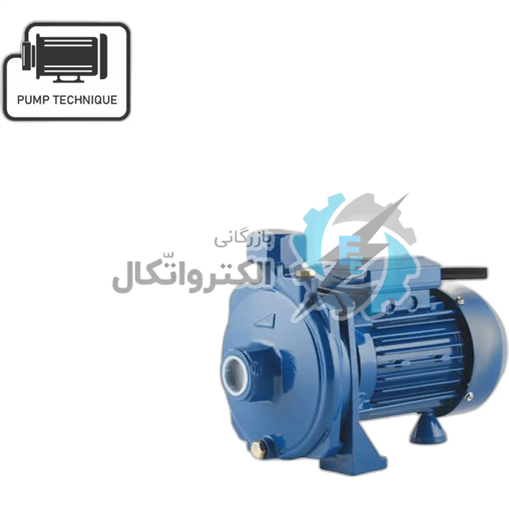 قیمت و خرید پمپ آب دو پروانه 2 اسب پنتاکس مدل CB210/00