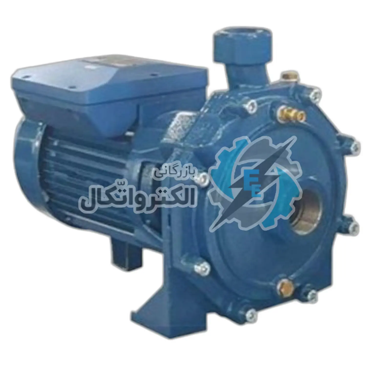 قیمت و خرید پمپ آب دو پروانه 2 اسب پنتاکس مدل CB210/00