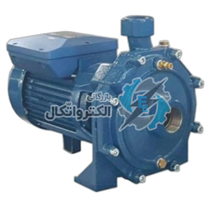 قیمت و خرید پمپ آب دو پروانه 2 اسب پنتاکس مدل CB210/00