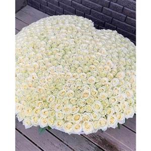 قیمت و خرید ارسال فوری گل برای باشگاه های تهران پارس 7977