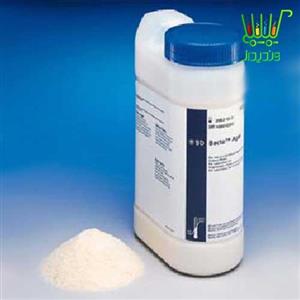 قیمت و خرید محیط کشت Liver Infusion Broth