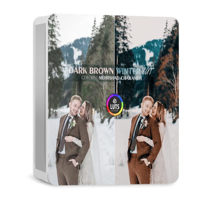 قیمت و خرید مجموعه رنگ Dark Brown Winter LUT