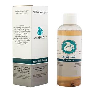 قیمت و خرید شامپو ضد ریزش مو شاه بلوط مدل اعجاز حجم 400 میلی لیتر